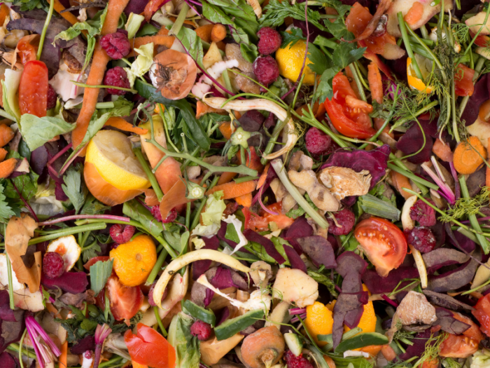 Tri à la source des biodéchets : un an après l’obligation, un bilan ...